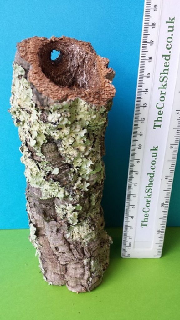 Cork Tubes. Hollow decorative cork branches, order online, The Cork Shed