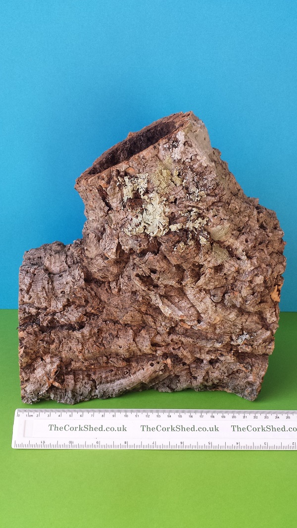 Cork caves and hides are perfect for decoration, hiding and nesting