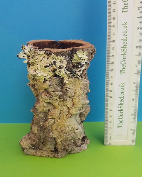Cork Tubes. Hollow decorative cork branches, order online, The Cork Shed