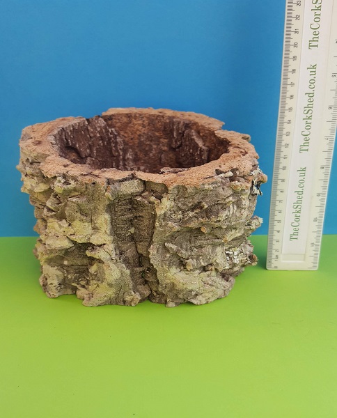Cork Tubes. Hollow decorative cork branches, order online, The Cork Shed