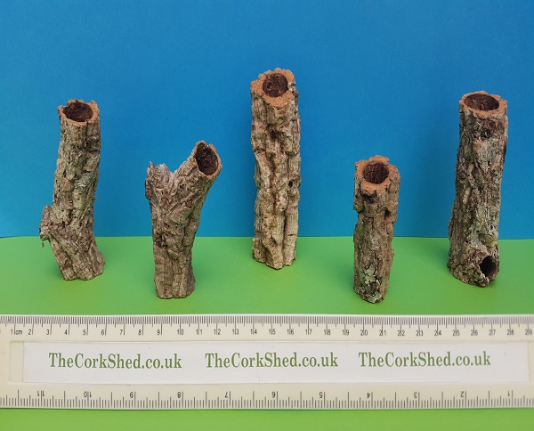 Cork Tube W16T5 27cm Cork Tubes Cork Bark Cork Branches, The Cork Shed