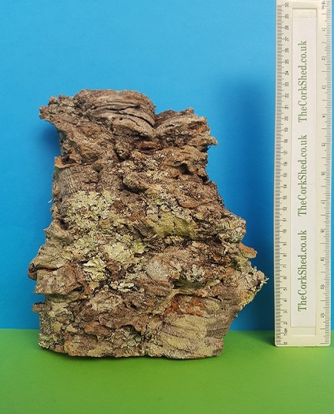 Cork caves and hides are perfect for decoration, hiding and nesting