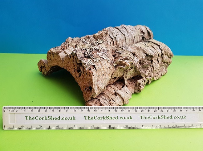 Cork caves and hides are perfect for decoration, hiding and nesting