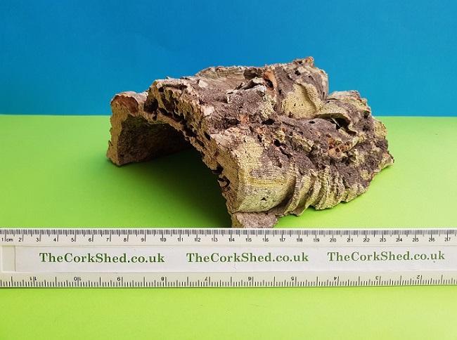 Cork caves and hides are perfect for decoration, hiding and nesting
