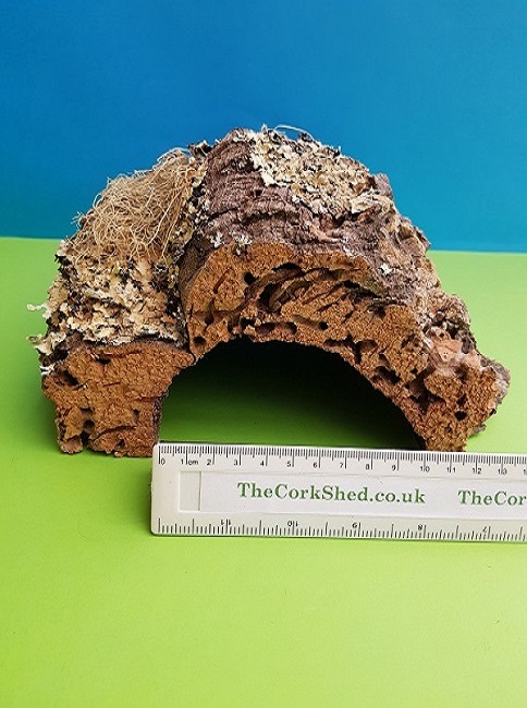 Cork caves and hides are perfect for decoration, hiding and nesting
