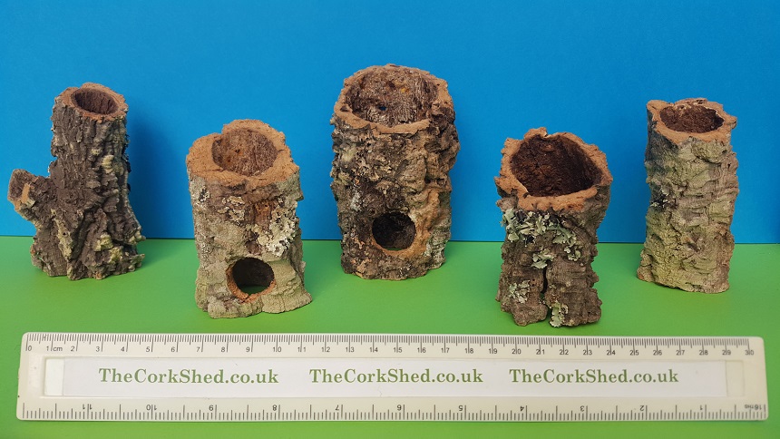 Orchid / Airplant / Fern Mounts Cork from The Cork Shed UK