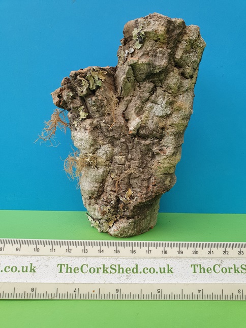 Cork Bark Rock Face 17cm WRF35 Cork Tubes Cork Bark Cork Branches, The ...