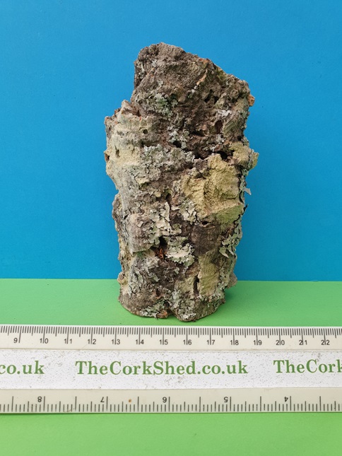 Cork Bark Rock Face 15cm WRF37 Cork Tubes Cork Bark Cork Branches, The ...
