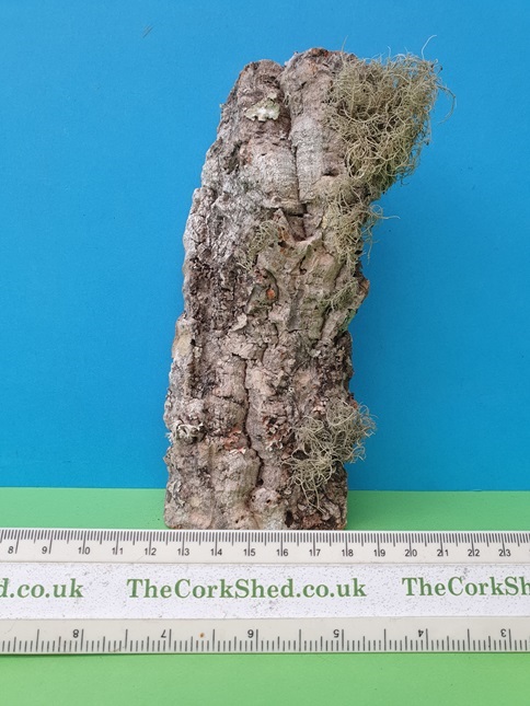 Cork Bark Rock Face 18cm WRF53 Cork Tubes Cork Bark Cork Branches, The ...
